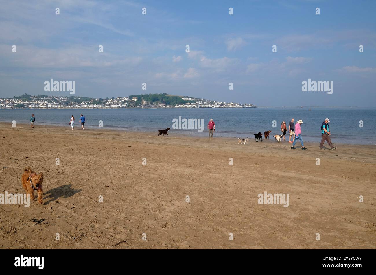 Instow north devon england hi-res stock photography and images - Alamy