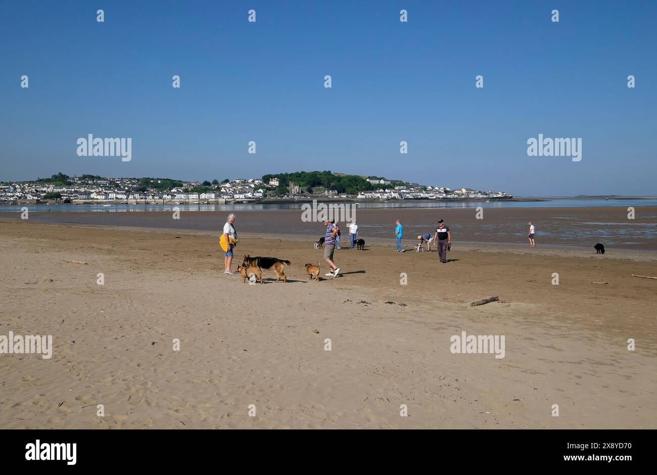 instow beach, north devon, england Stock Photo - Alamy