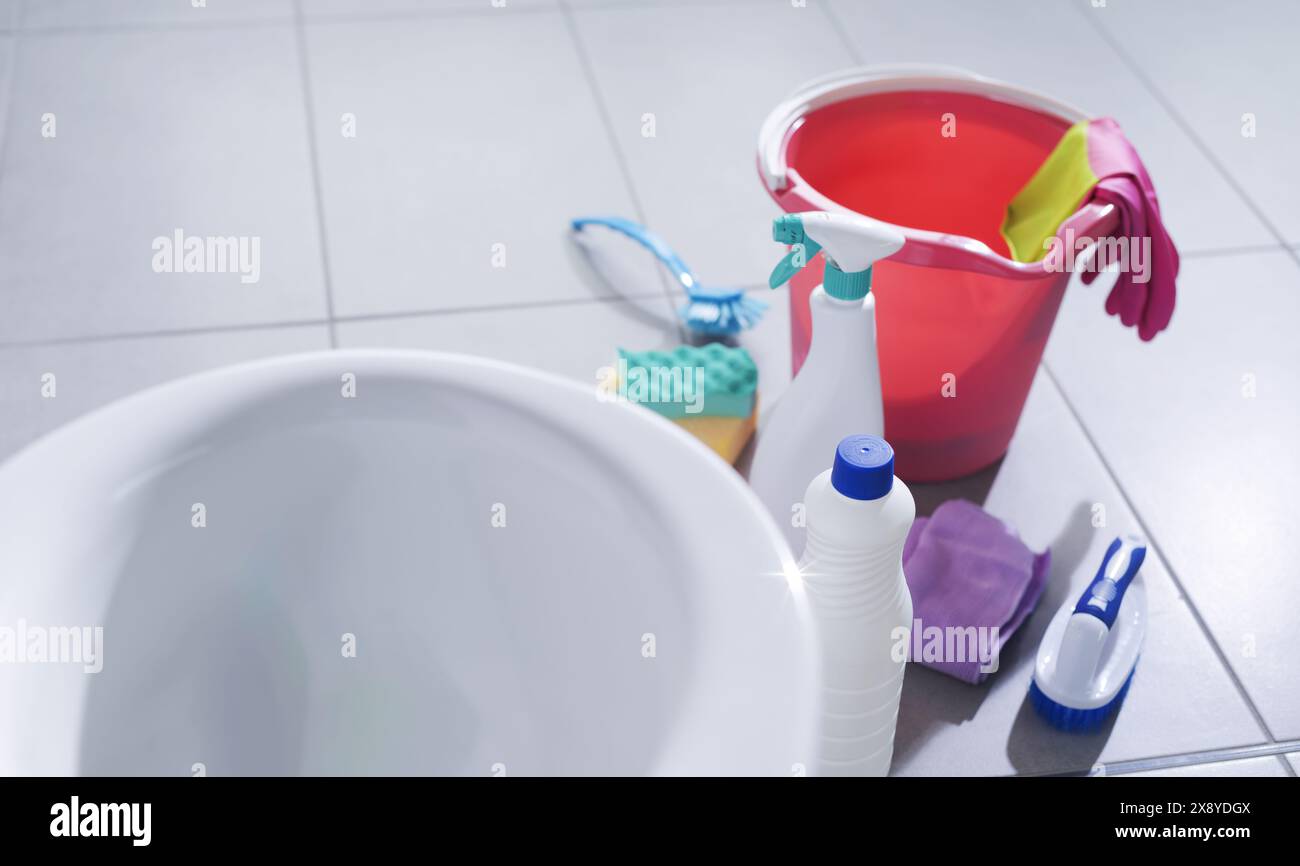 Clean shiny toilet and cleaning products on the floor, hygiene and ...