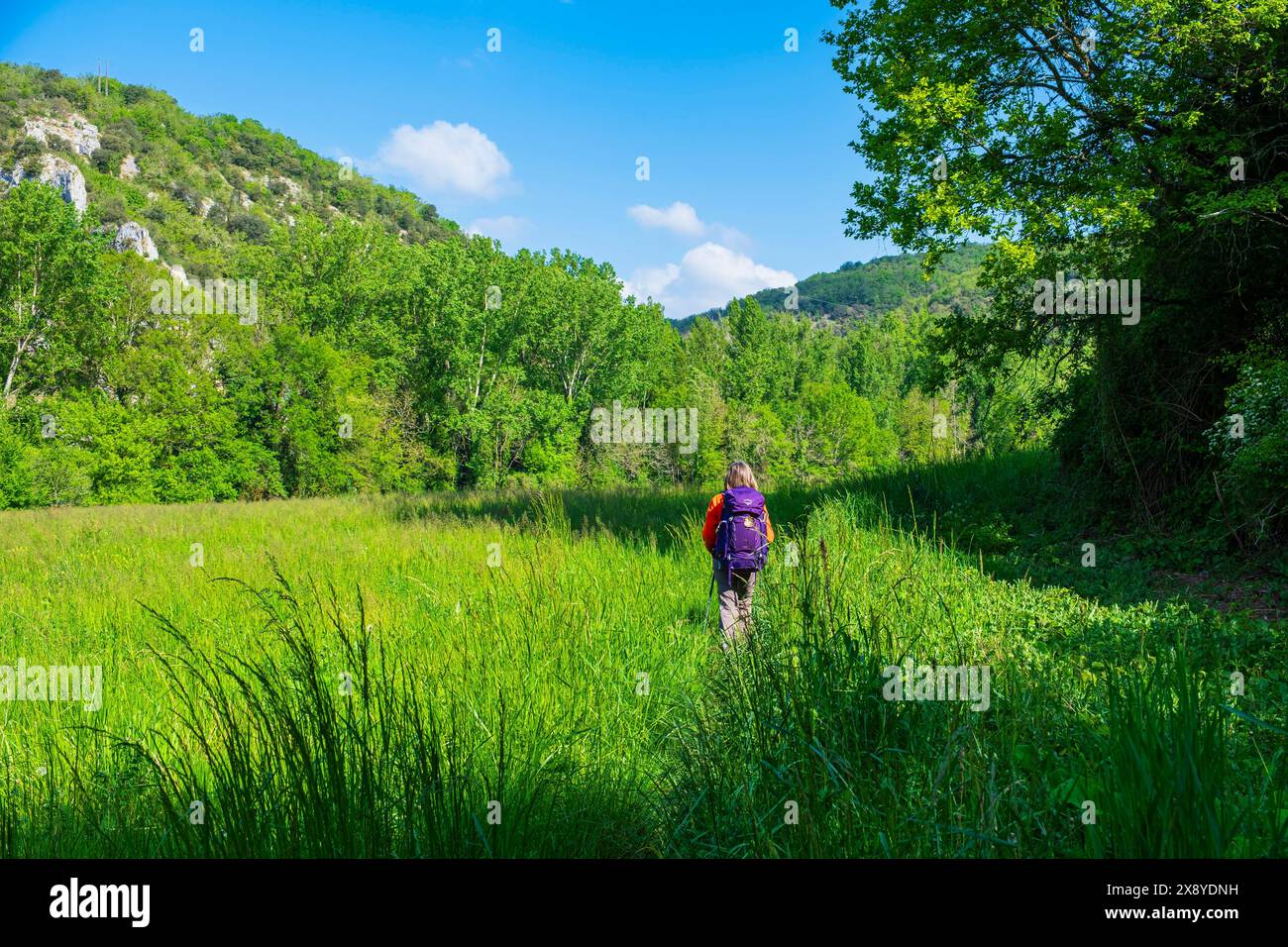 France, Lot, surroundings of Bouzies, hike on the GR 36, variant of the ...
