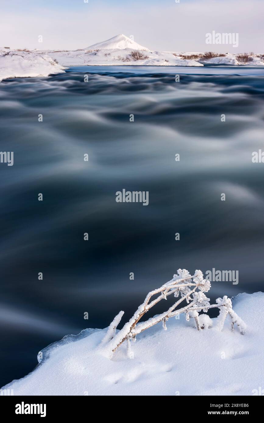 Iceland, Northeastern Region, Myvatn area, salmon river Stock Photo - Alamy