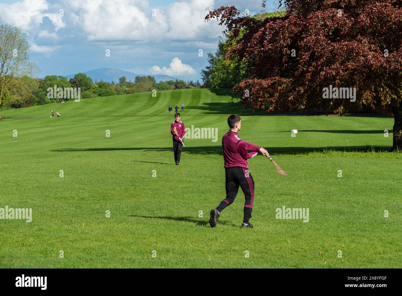 Republic of Ireland, County Kilkenny, Kilkenny, Kilkenny Castle, garden ...