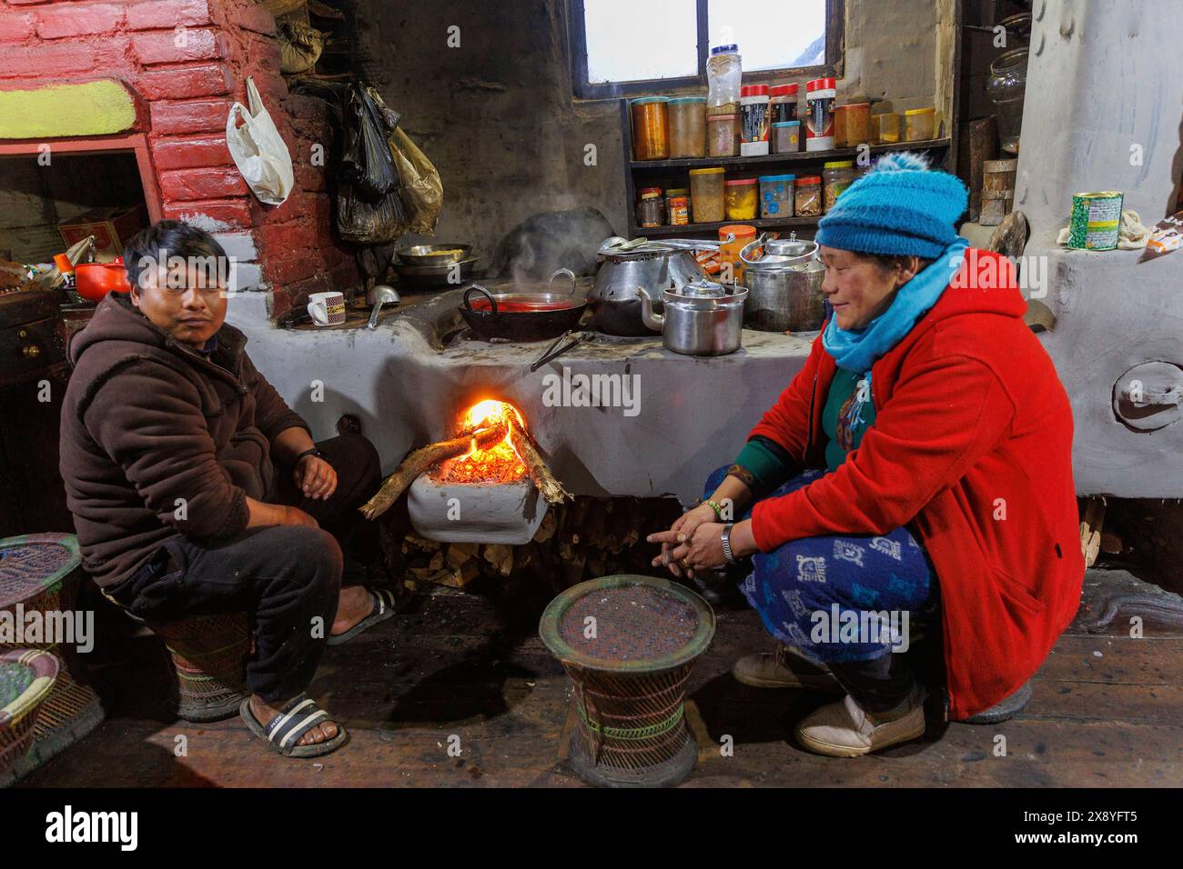 Nepal, Himalaya, Singalila National Park, Tumling village, trekking ...