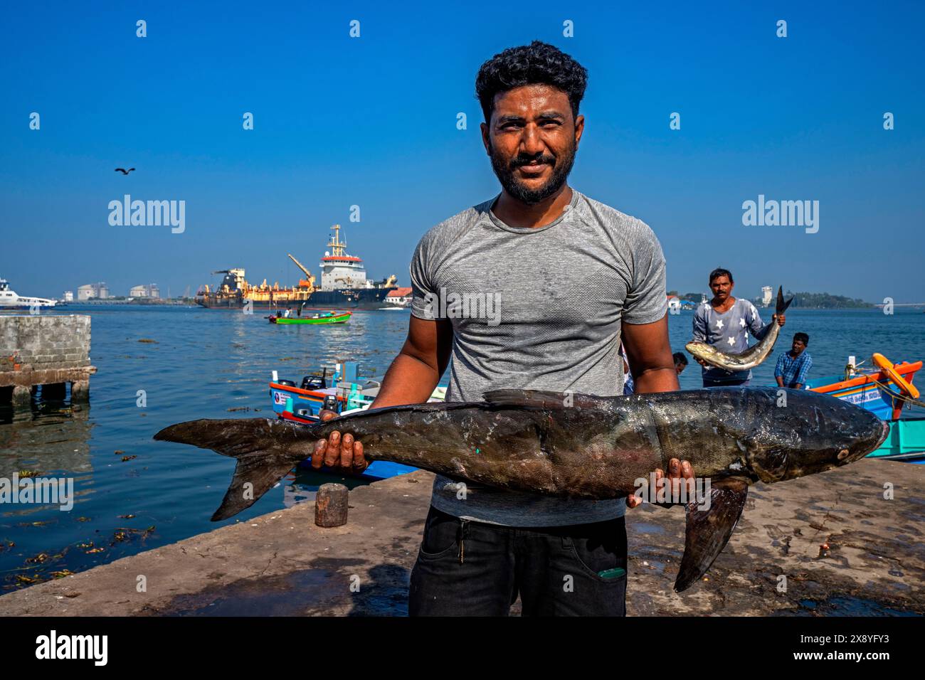 India, Kerala, Kochi, fishing harbour Stock Photo - Alamy