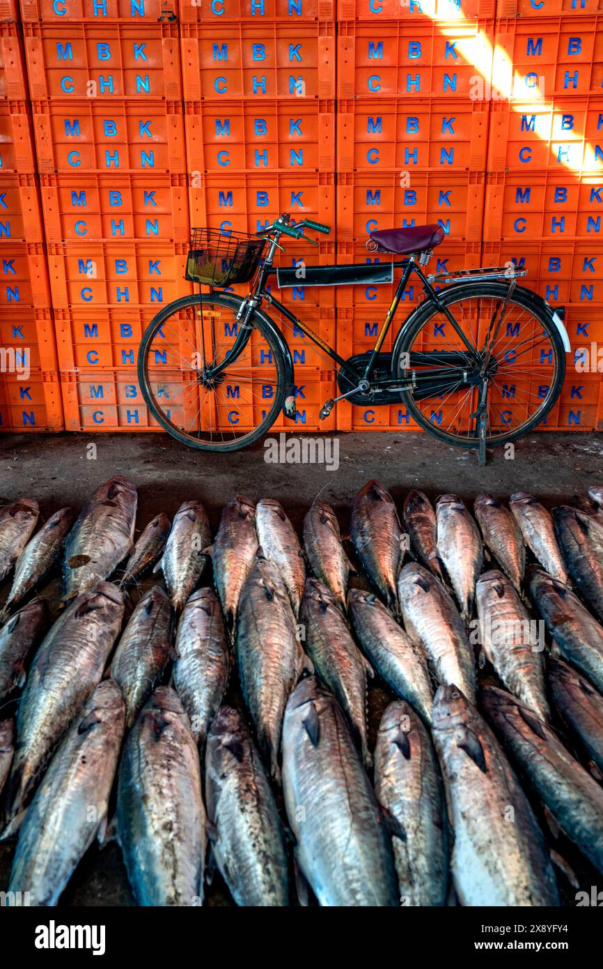 Kochi harbour hi-res stock photography and images - Alamy
