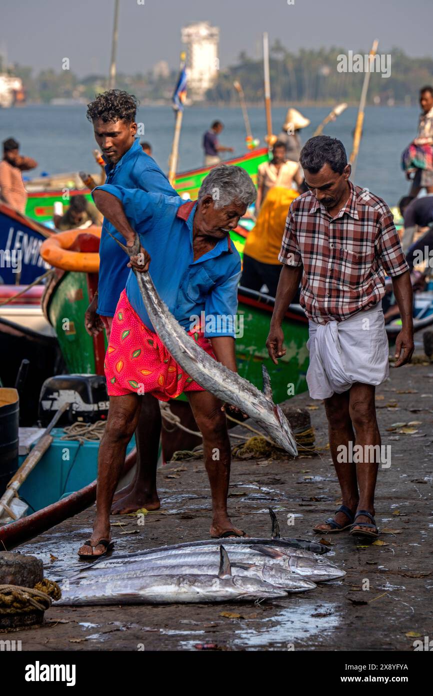 India, Kerala, Kochi, fishing harbour Stock Photo - Alamy