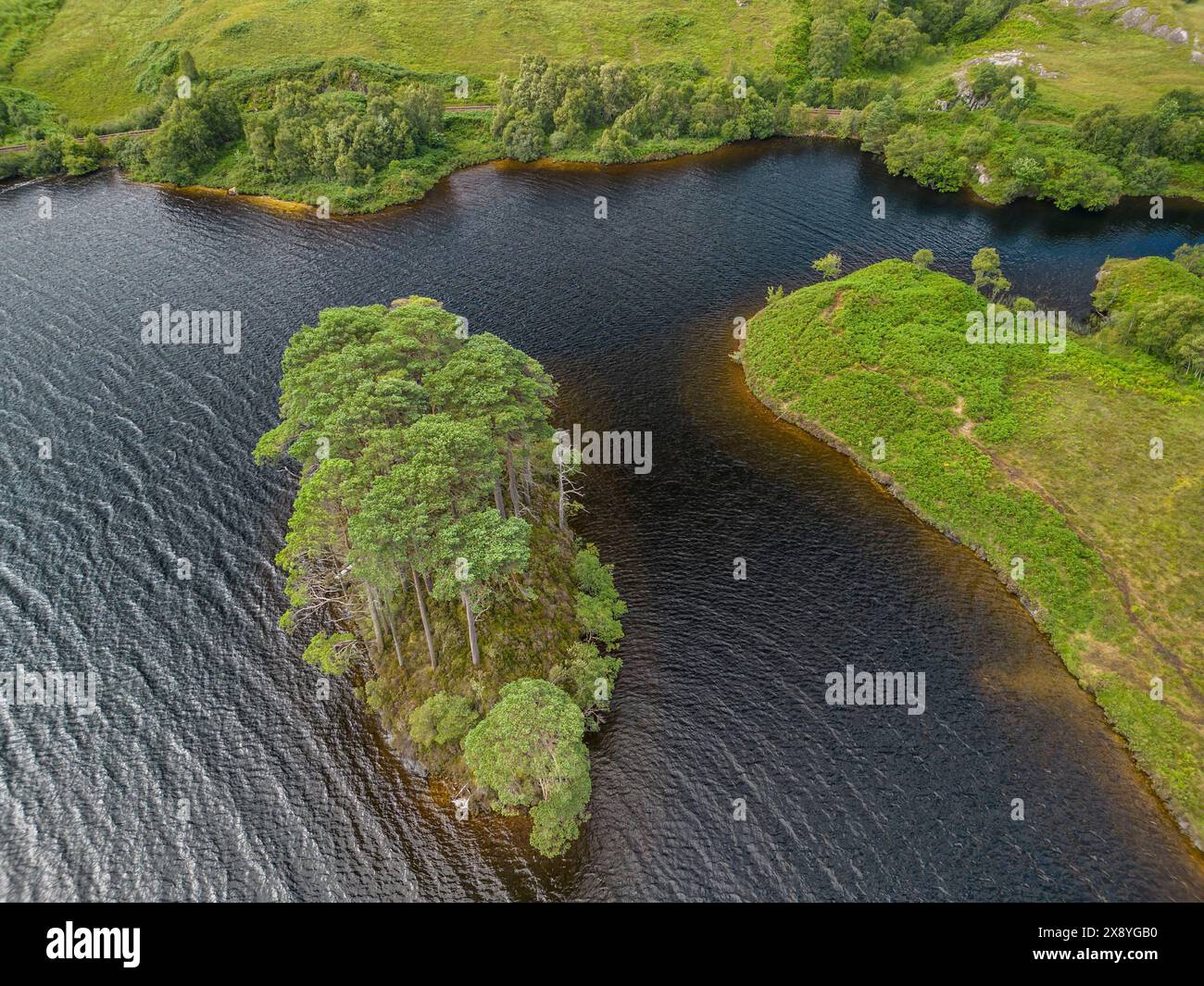 United Kingdom, Scotland, Highland, Eilean Na monk, on Loch Eilt the ...