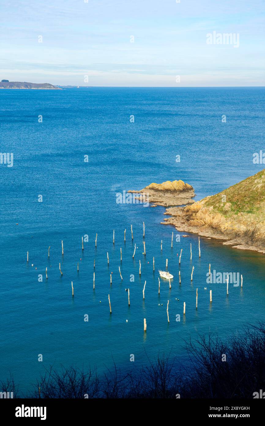 France, Côtes d'Armor, Plouha, the wooden pile harbour of Gwin Zegal ...