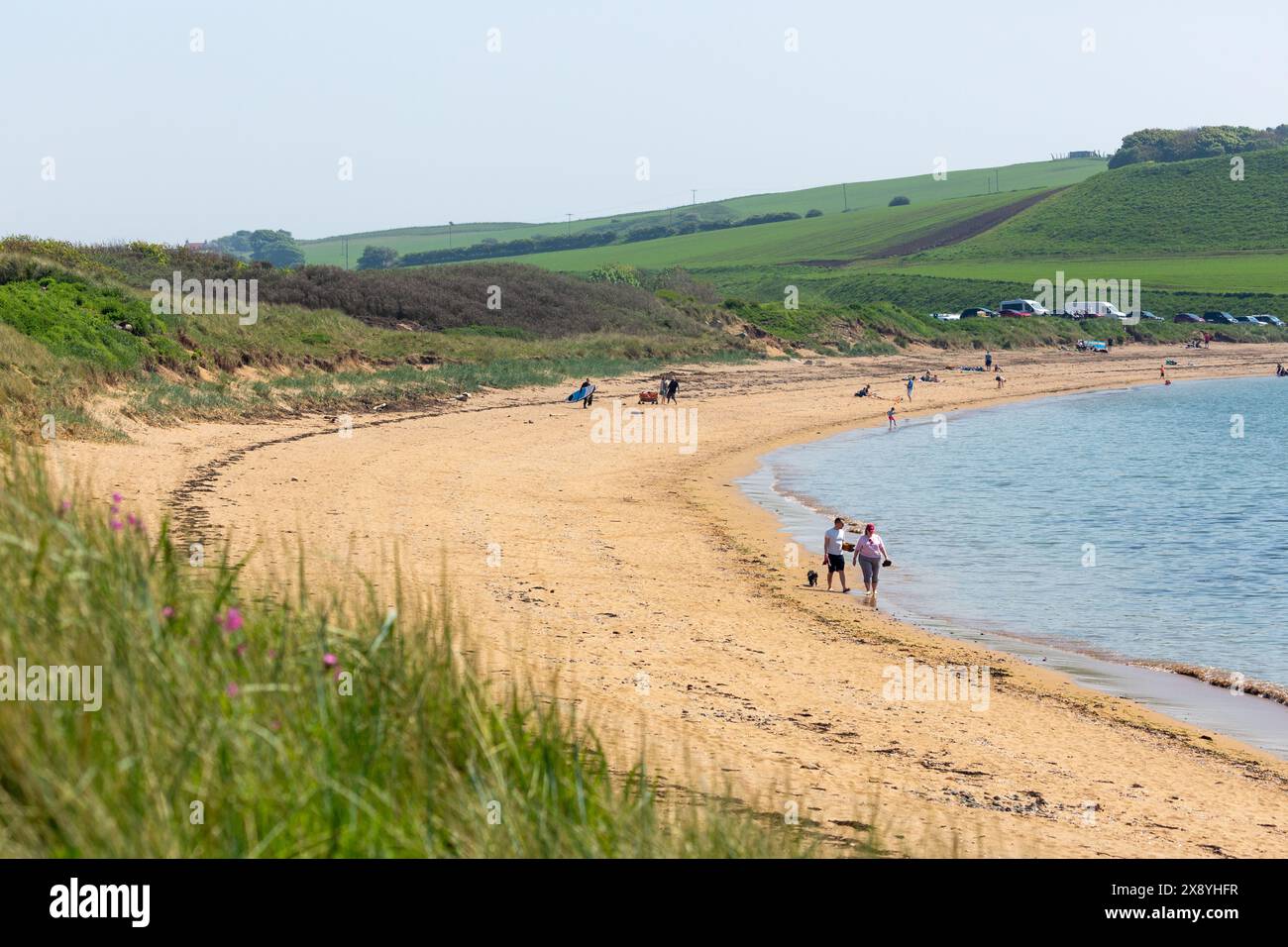 Shell Bay near Elie, Fife, Scotland Stock Photo - Alamy