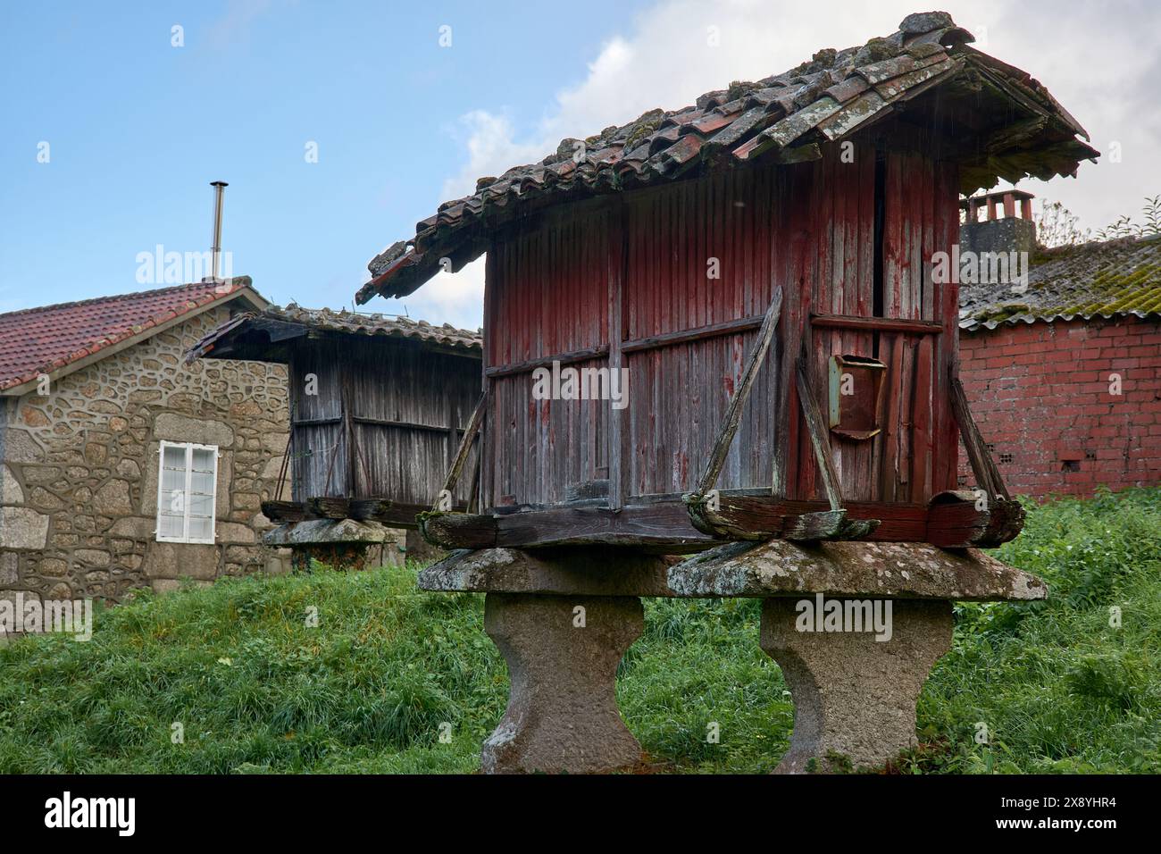 Vintage horreo granary on stone pillars with weathered red wooden walls ...