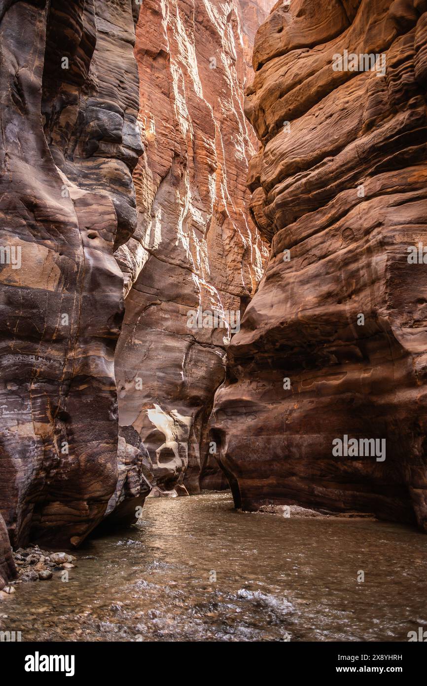 Narrow Gorge of Rock Formation in Wadi Mujib. Rocky Canyon with Arnon ...