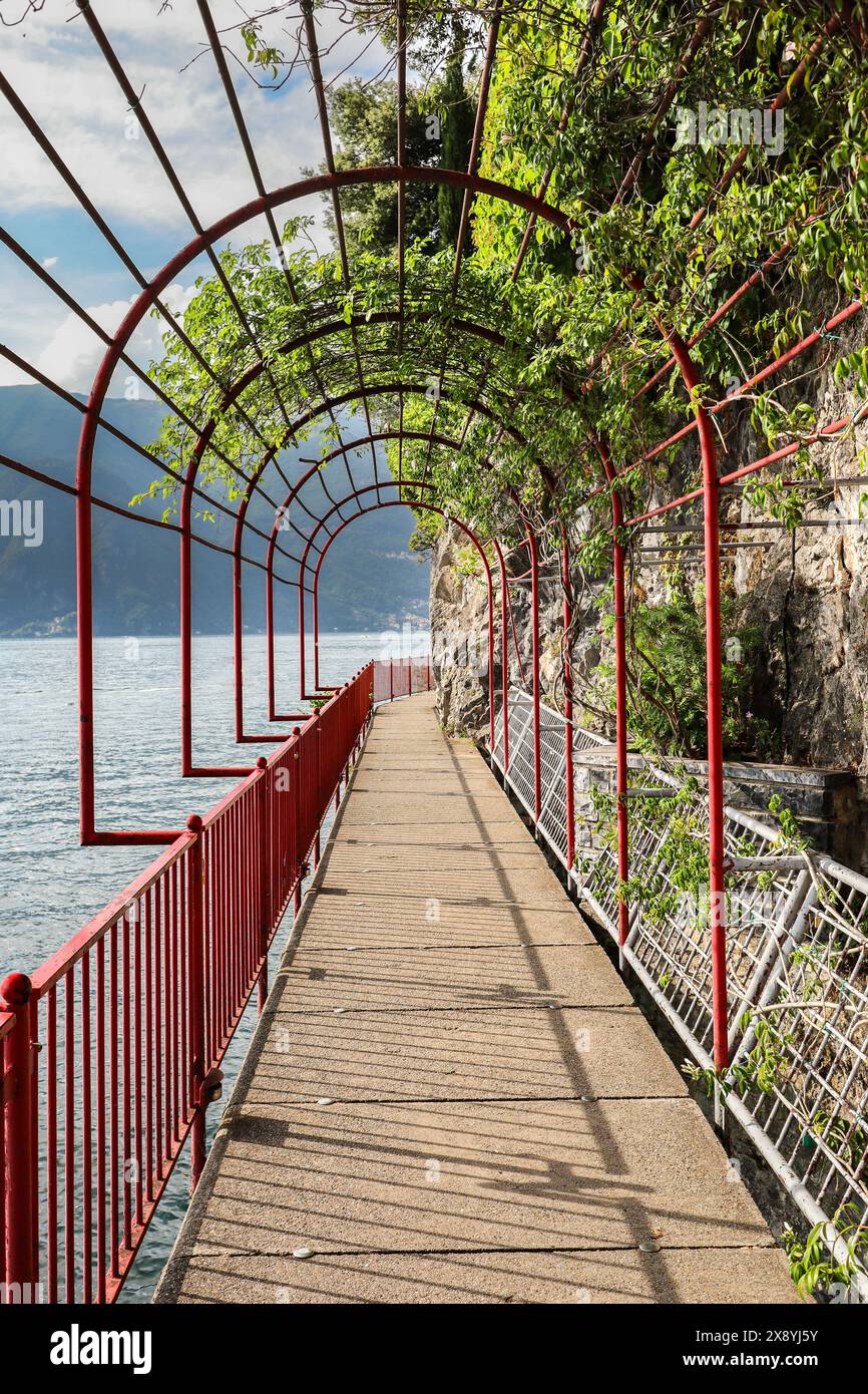 Vertical Scenery of Walking Avenue in Varenna. Beautiful Sunny Day in ...