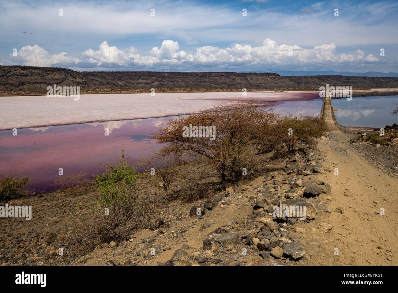 Kenya, lake Magadi and soda, Rift valley Stock Photo - Alamy
