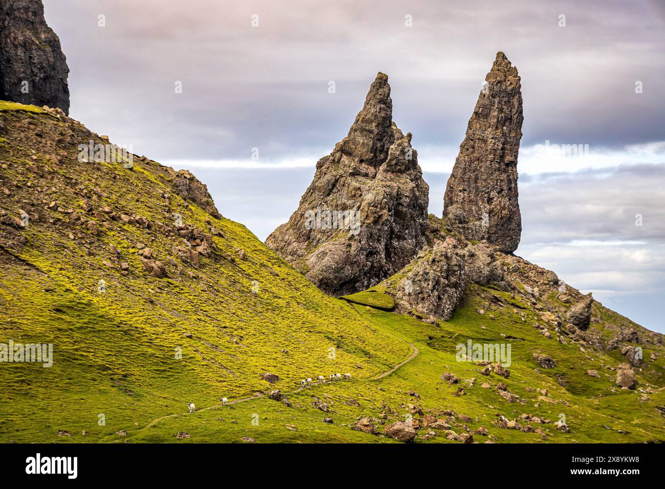 United Kingdom, Scotland, Highlands, Isle of Skye, Trotternish ...