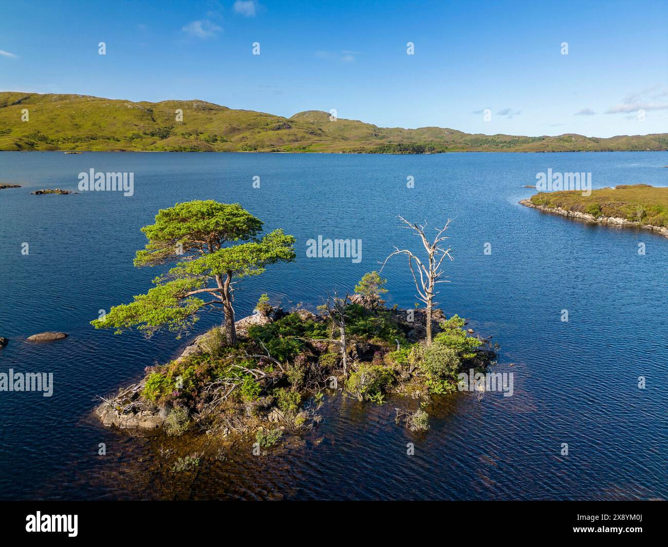 United Kingdom, Scotland, Highlands region, Sutherland, Lairg, Loch ...