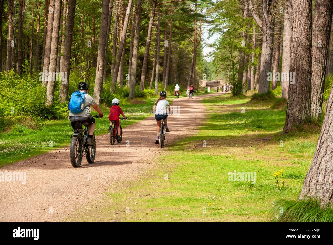 A family cycling in Tentsmuir National Nature Reserve Stock Photo - Alamy