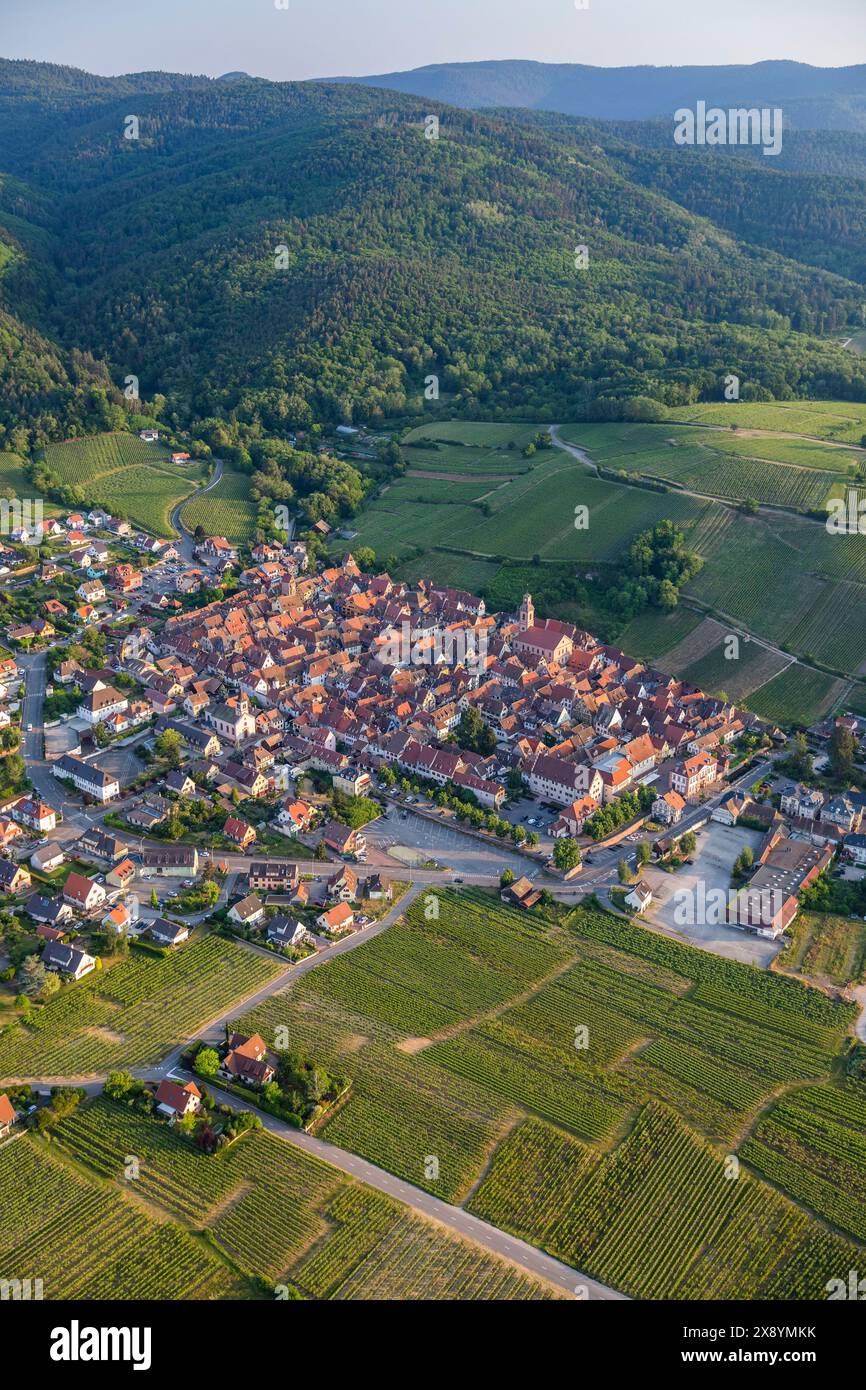 France, Haut Rhin, Alsace Wine Road, Riquewihr village, labelled Les ...