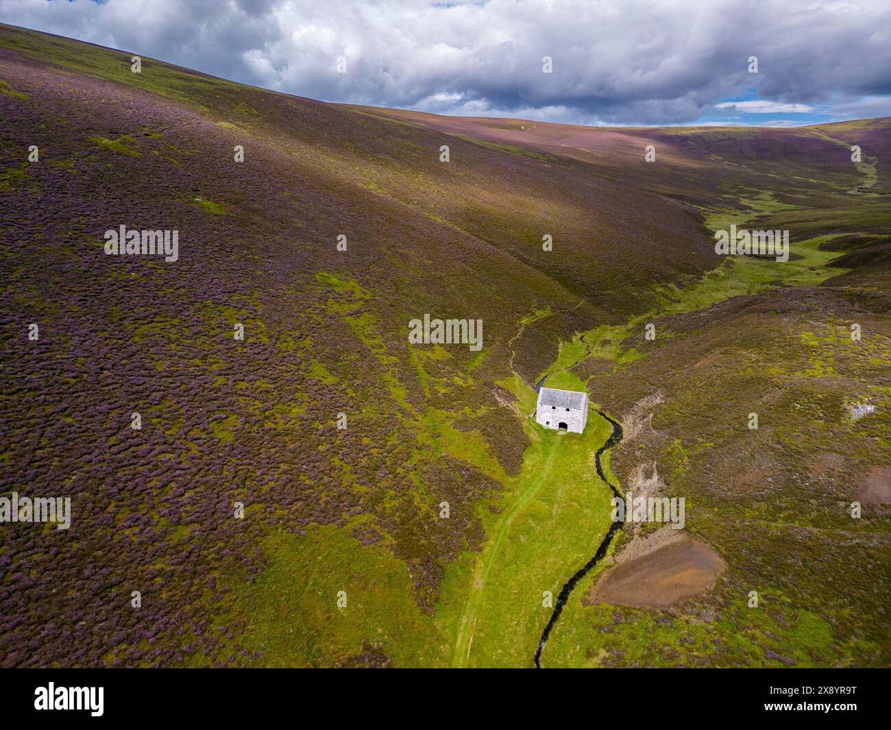 Scotland, Highlands, Cairngorms National Park, Ballindalloch, Lecht ...