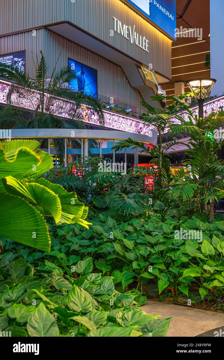 Qatar, Doha, Hamad international airport, The Orchard tropical garden ...