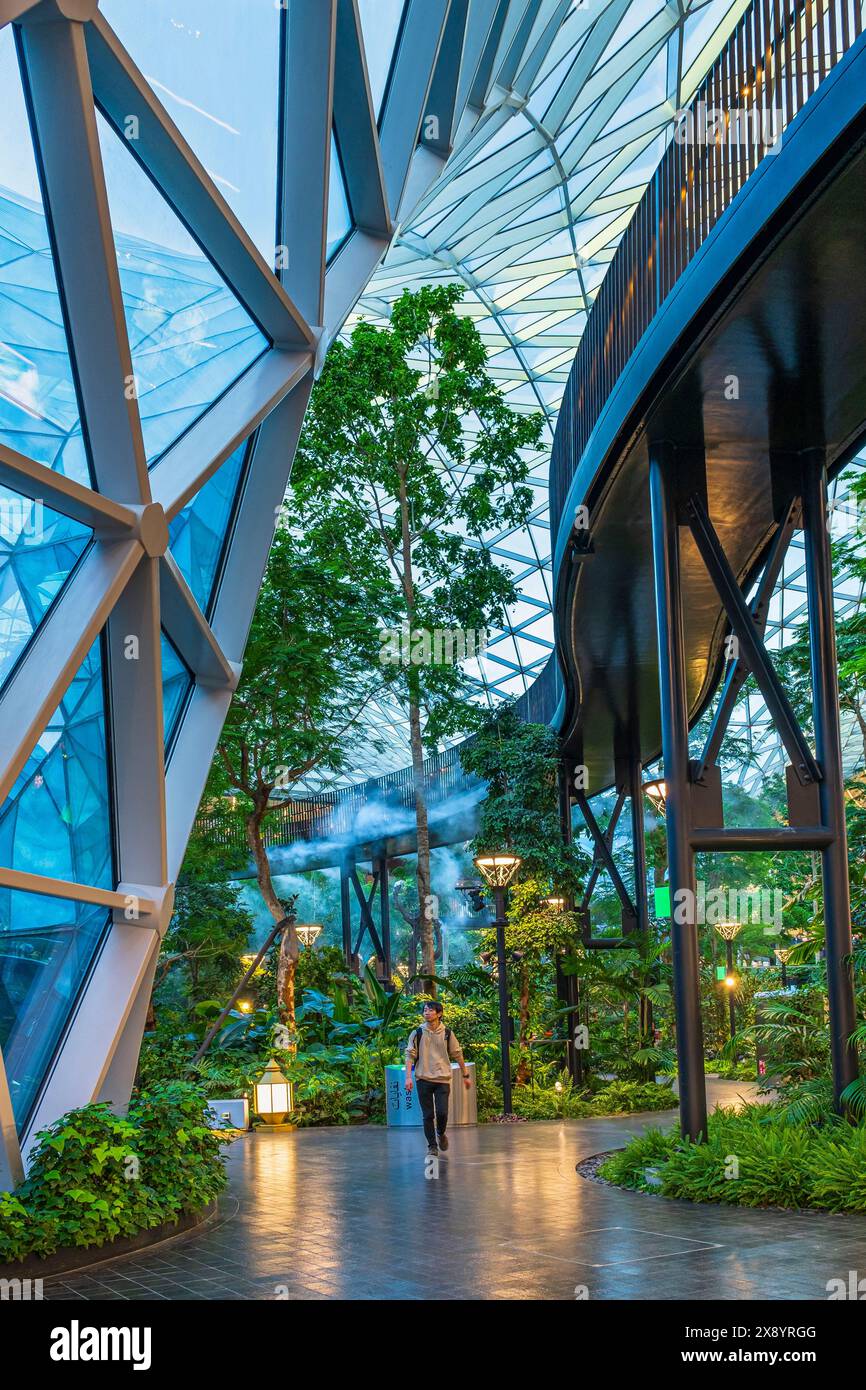 Qatar, Doha, Hamad international airport, The Orchard tropical garden ...