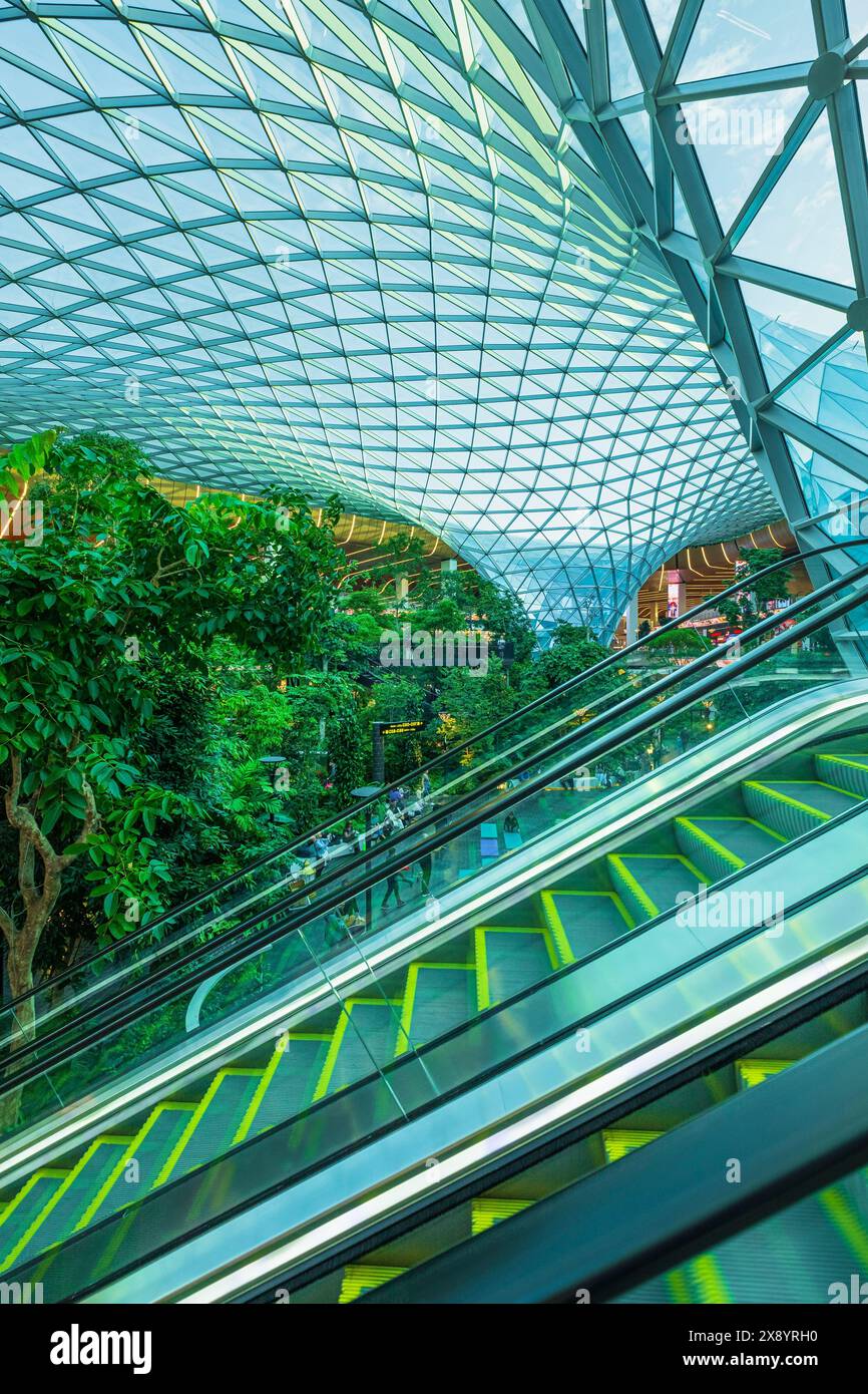 Qatar, Doha, Hamad international airport, The Orchard tropical garden ...