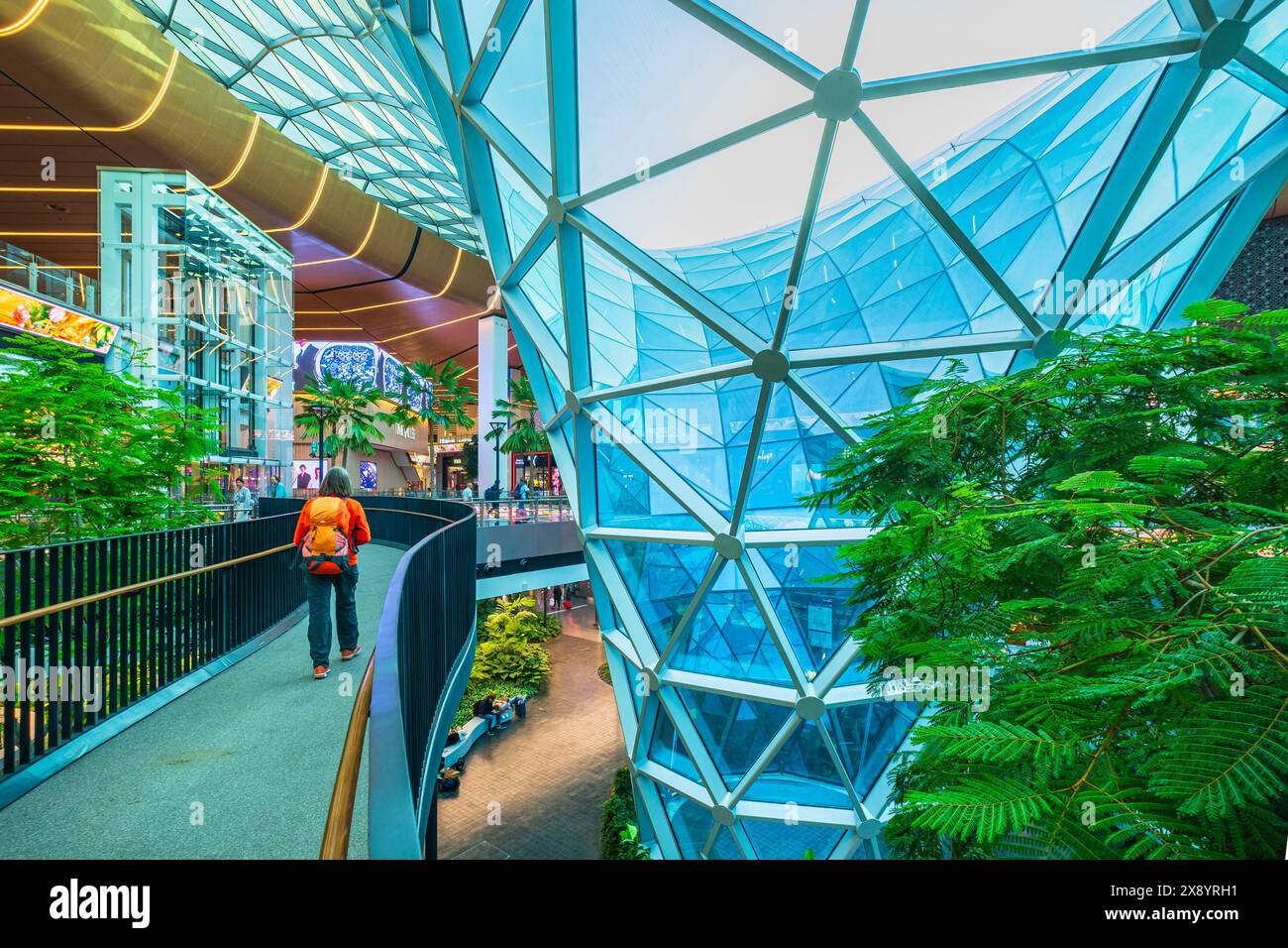 Qatar, Doha, Hamad international airport, The Orchard tropical garden ...