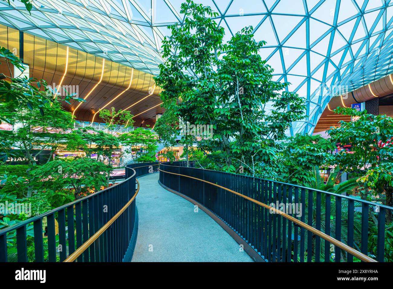 Qatar, Doha, Hamad international airport, The Orchard tropical garden ...