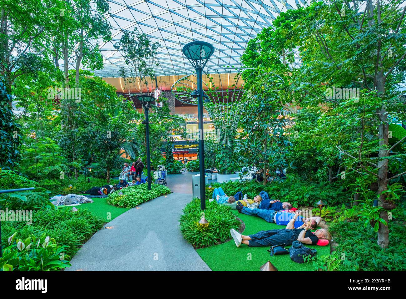Qatar, Doha, Hamad international airport, The Orchard tropical garden ...