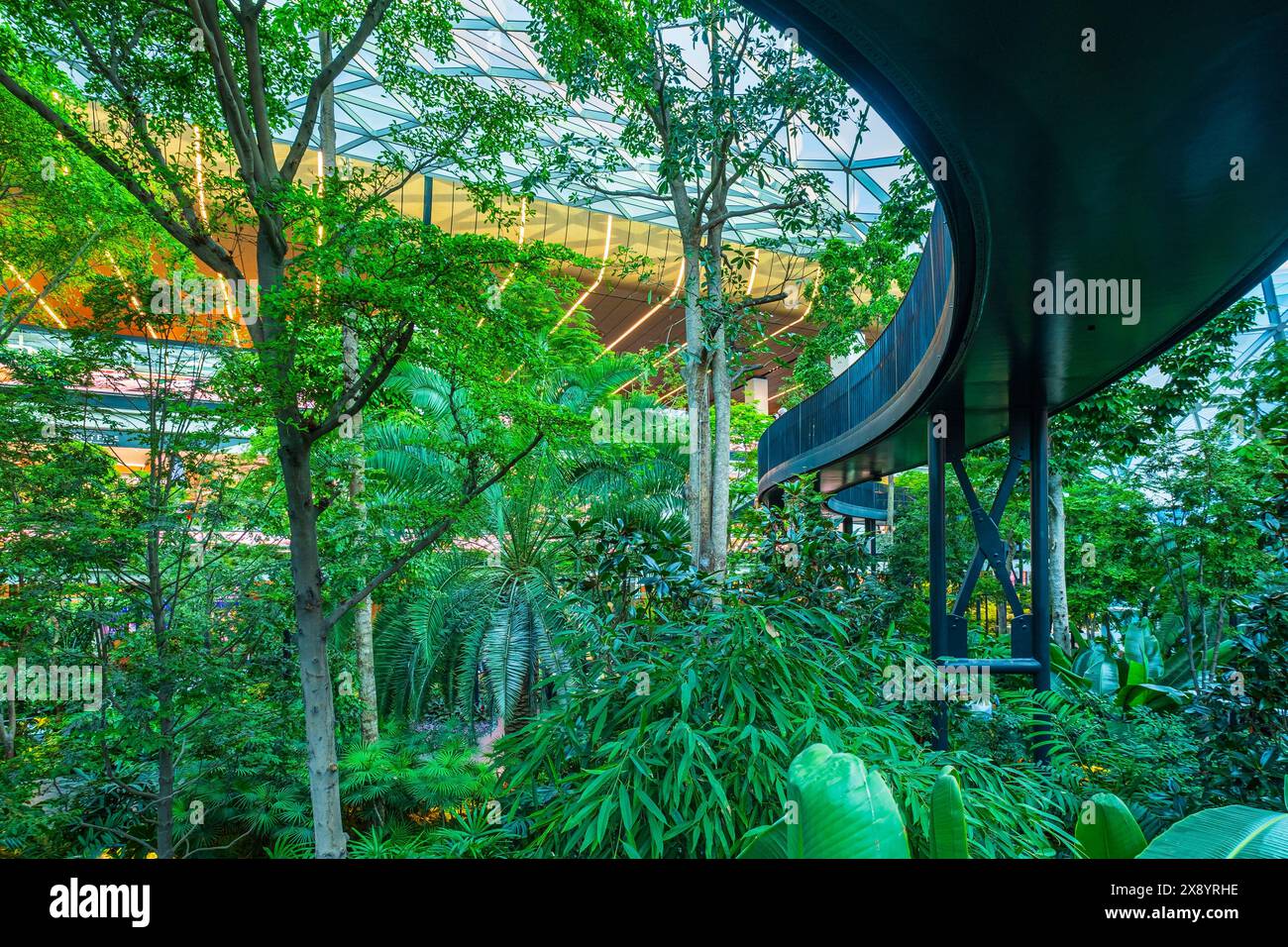Qatar, Doha, Hamad international airport, The Orchard tropical garden ...