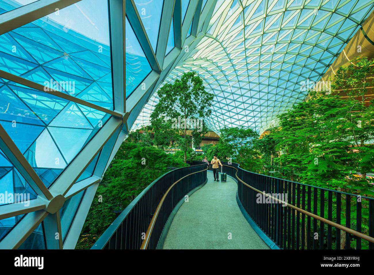 Doha hamad airport orchard hi-res stock photography and images - Alamy
