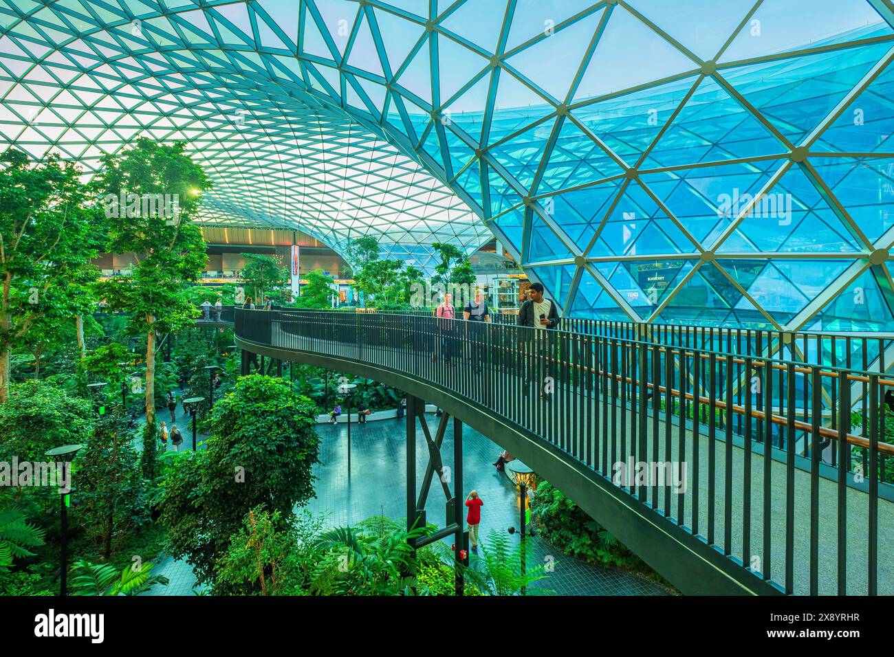 Qatar, Doha, Hamad international airport, The Orchard tropical garden ...
