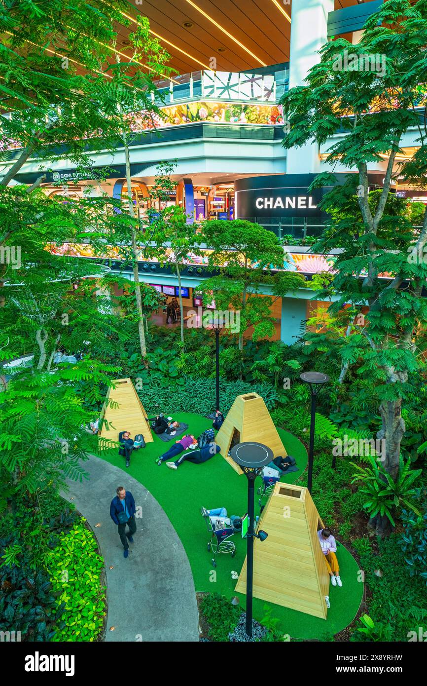 Qatar, Doha, Hamad international airport, The Orchard tropical garden ...