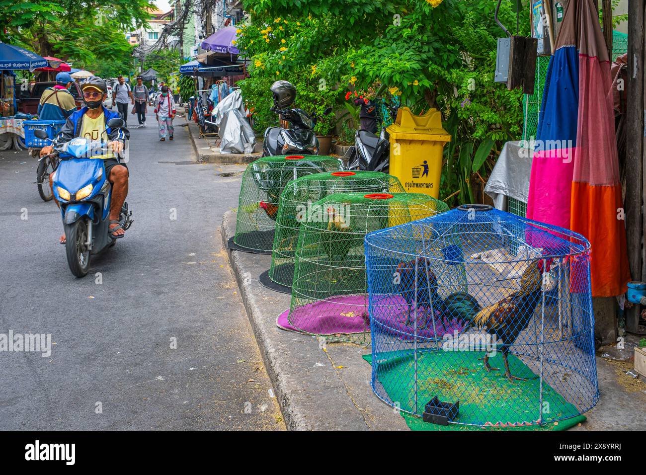 Thailand, Bangkok, Dusit district Stock Photo - Alamy