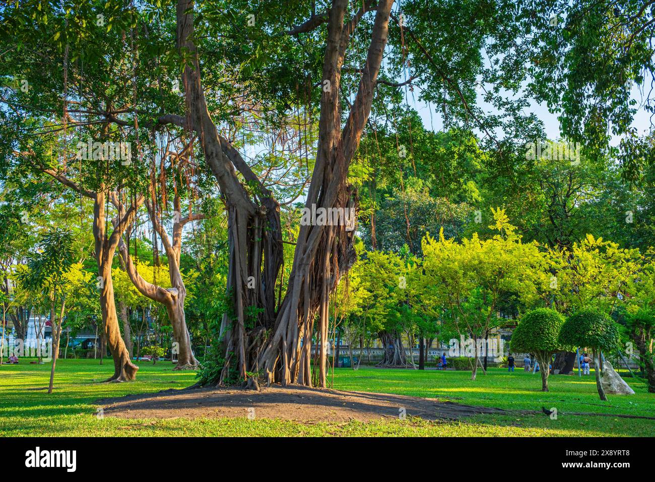 Saranrom park bangkok hi-res stock photography and images - Alamy