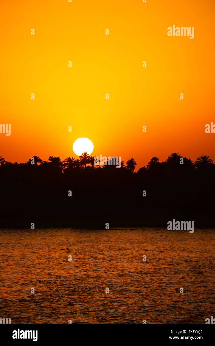 Orange sunset over the River Nile, with date palm trees silhouetted ...