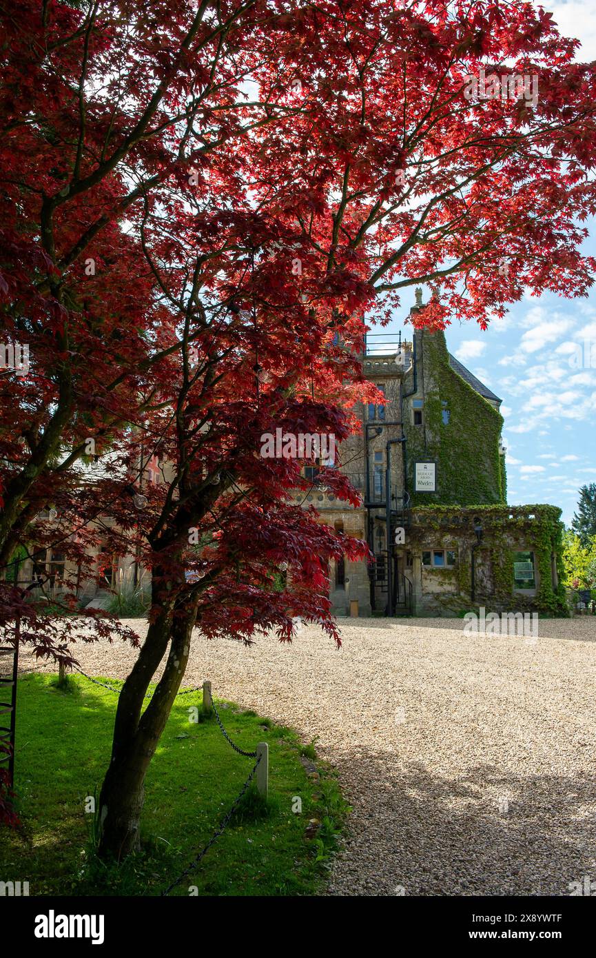 Rudloe arms hi-res stock photography and images - Alamy
