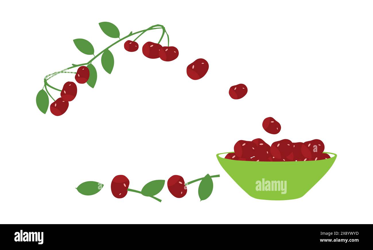 Cherry oil Stock Vector Images - Alamy
