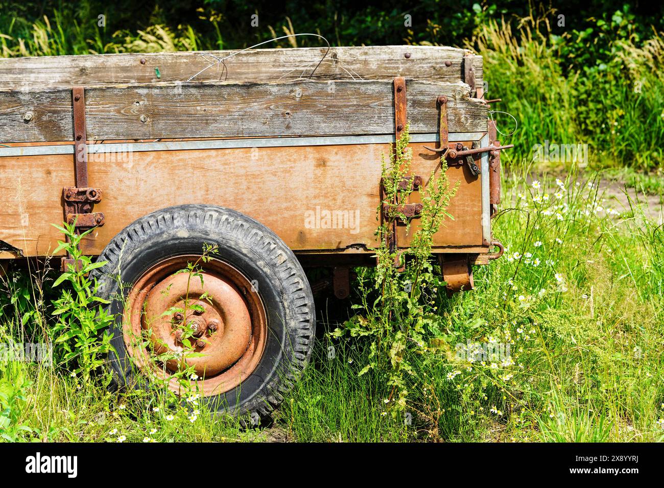 old trailer in tall grass Stock Photo - Alamy