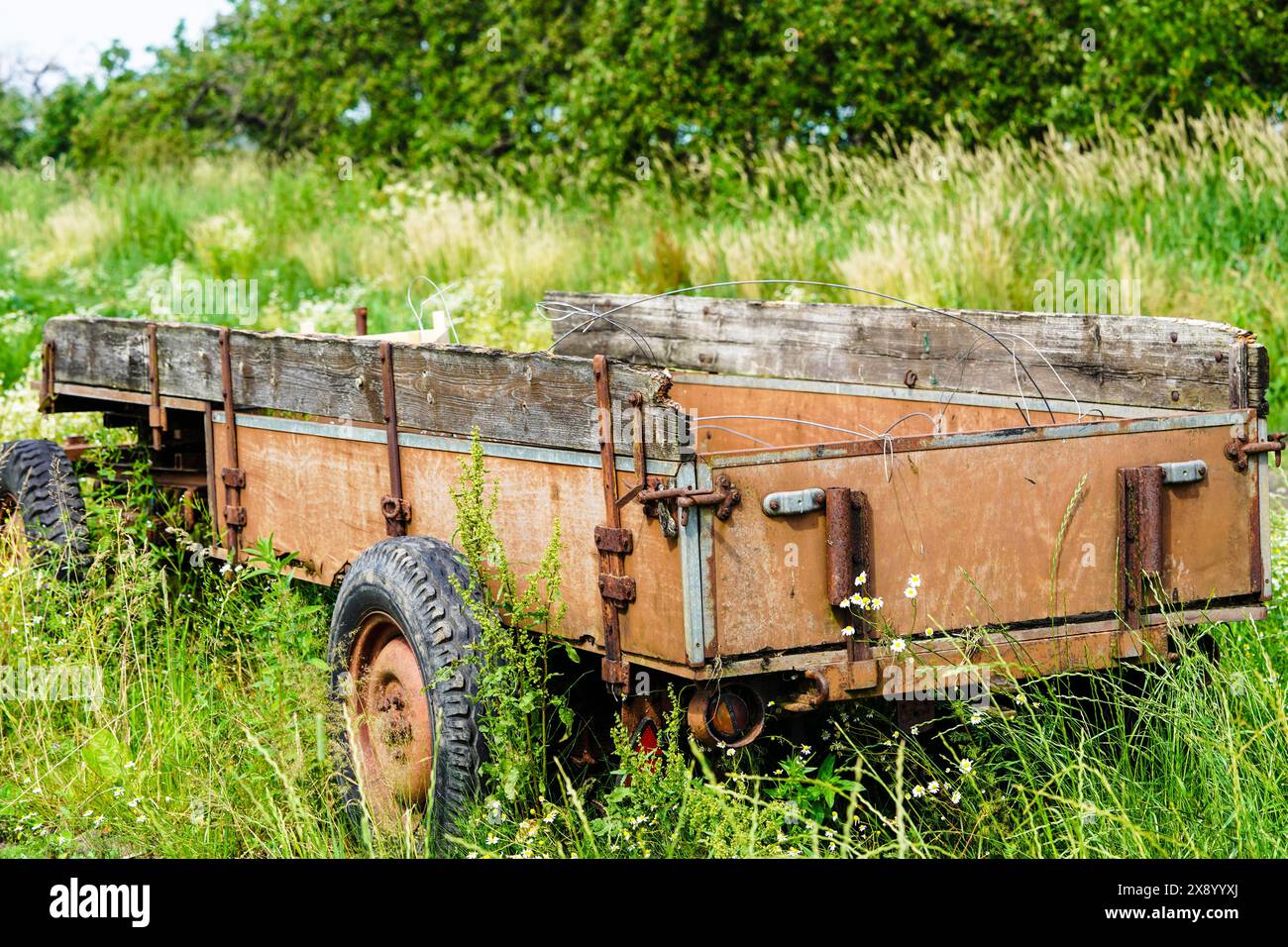 old trailer in tall grass Stock Photo - Alamy