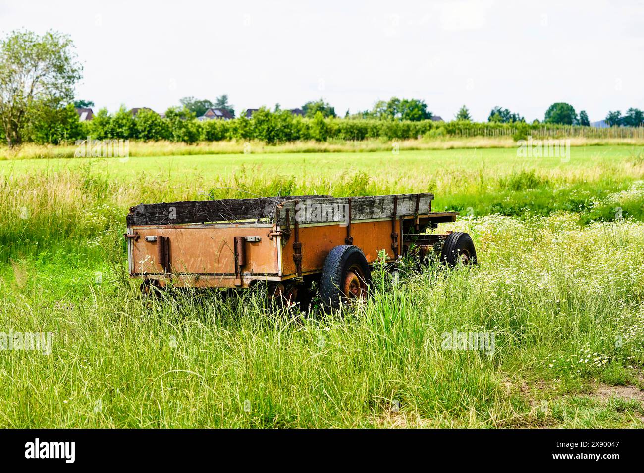 old trailer in tall grass Stock Photo - Alamy