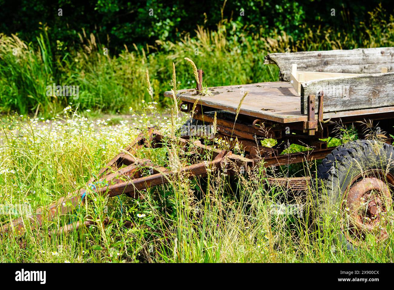 old trailer in tall grass Stock Photo - Alamy
