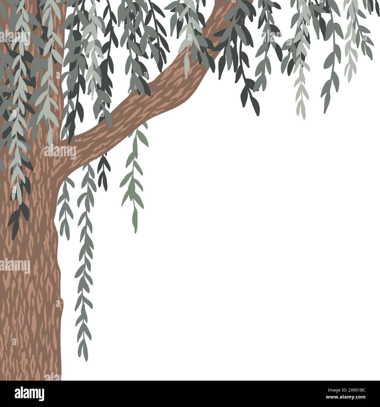 Green willow tree branches frame isolated on white background. Corner ...