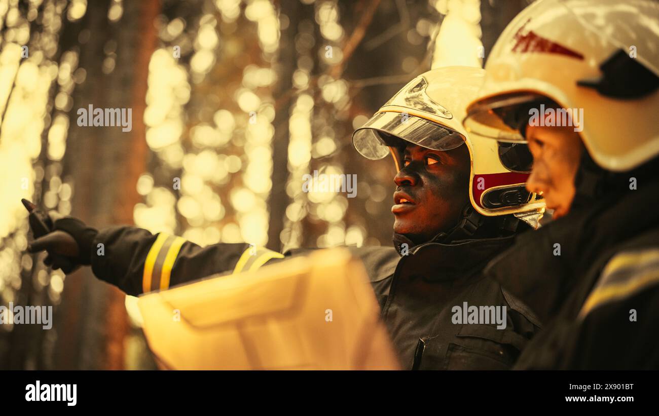 Professional Firefighters Extinguishing Forest Fire: Female ...