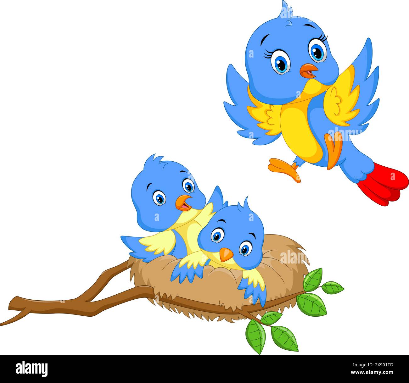 Mother bird with two cubs isolated on white background Stock Vector ...