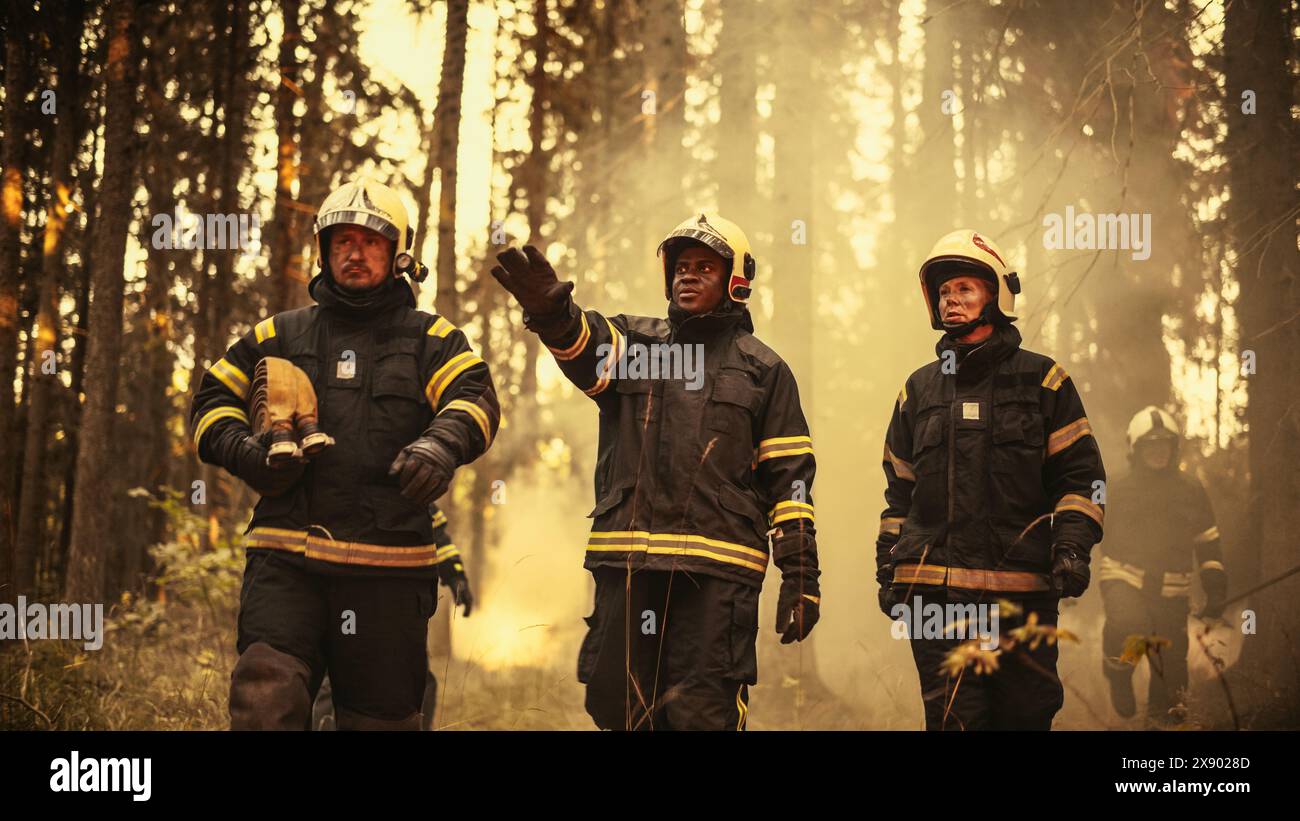 Portrait of a Diverse Group of Brave Wildfire Hotshots Walking in a ...
