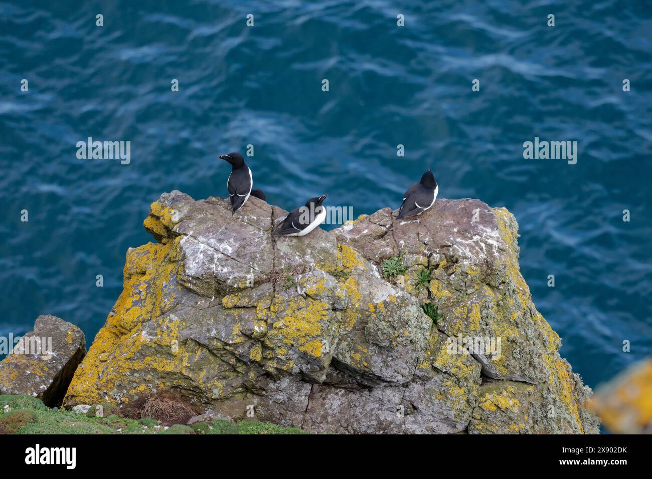 Ideal double page spread hi-res stock photography and images - Alamy