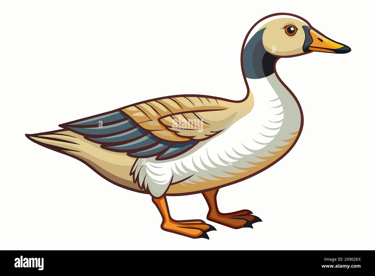 Goose with orange beak and feet standing, bird illustration, domestic ...