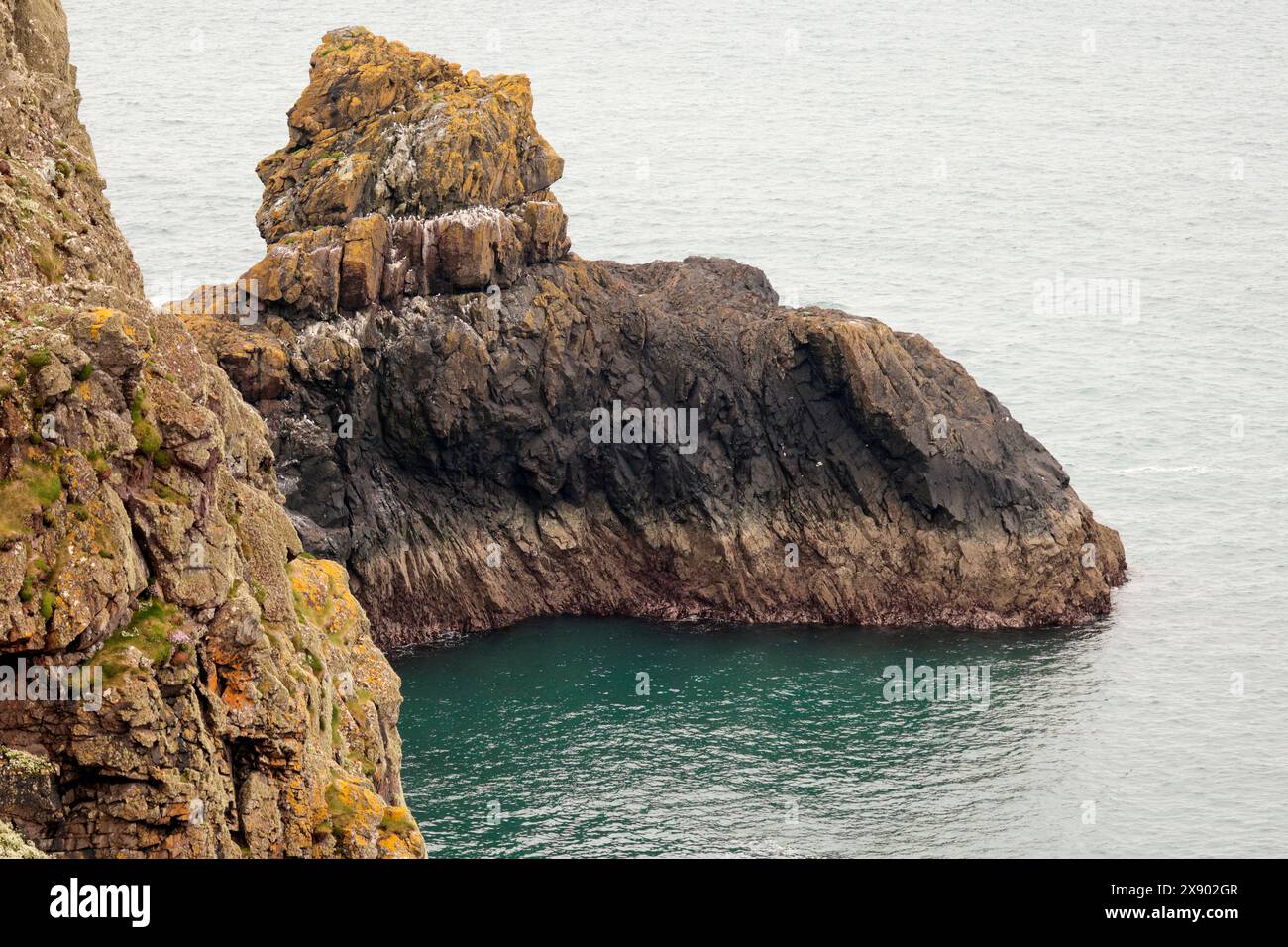 Distant sea bird colonies on rocks hi-res stock photography and images ...
