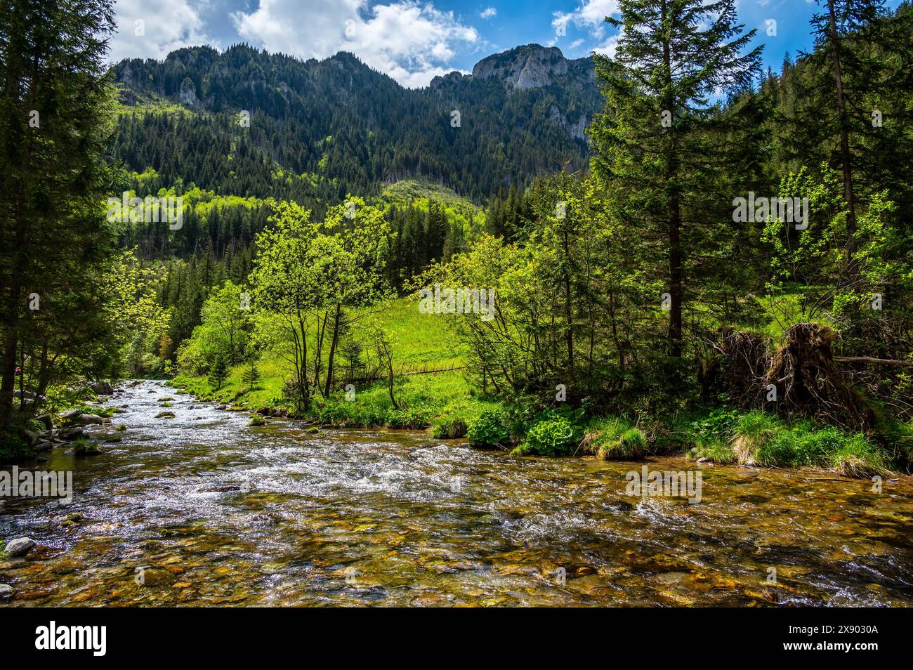 Koscieliska Dolina. Tatry. photo Wojciech Fondalinski Stock Photo - Alamy