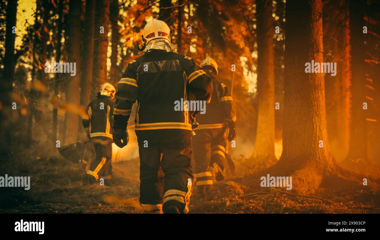 Cinematic forest fire hi-res stock photography and images - Alamy